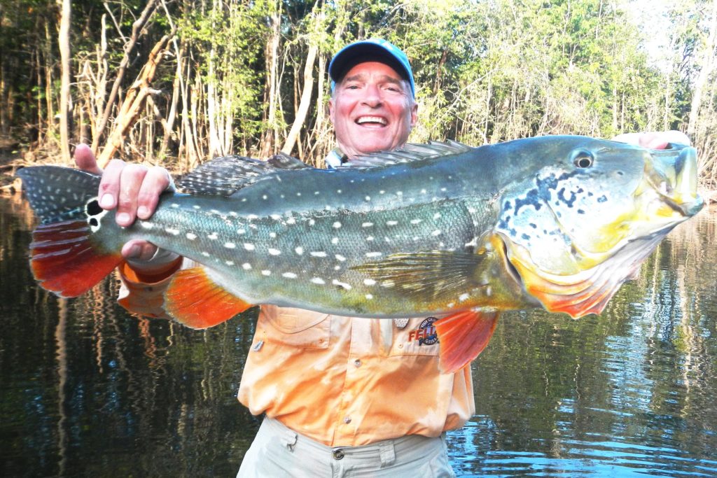 Peacock Bass in Brazil - Tail Fly Fishing Magazine