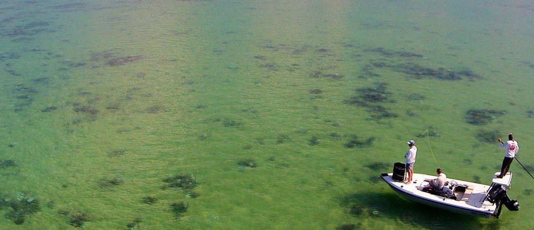 Bonefish on the fly | Tail Fly Fishing Magazine