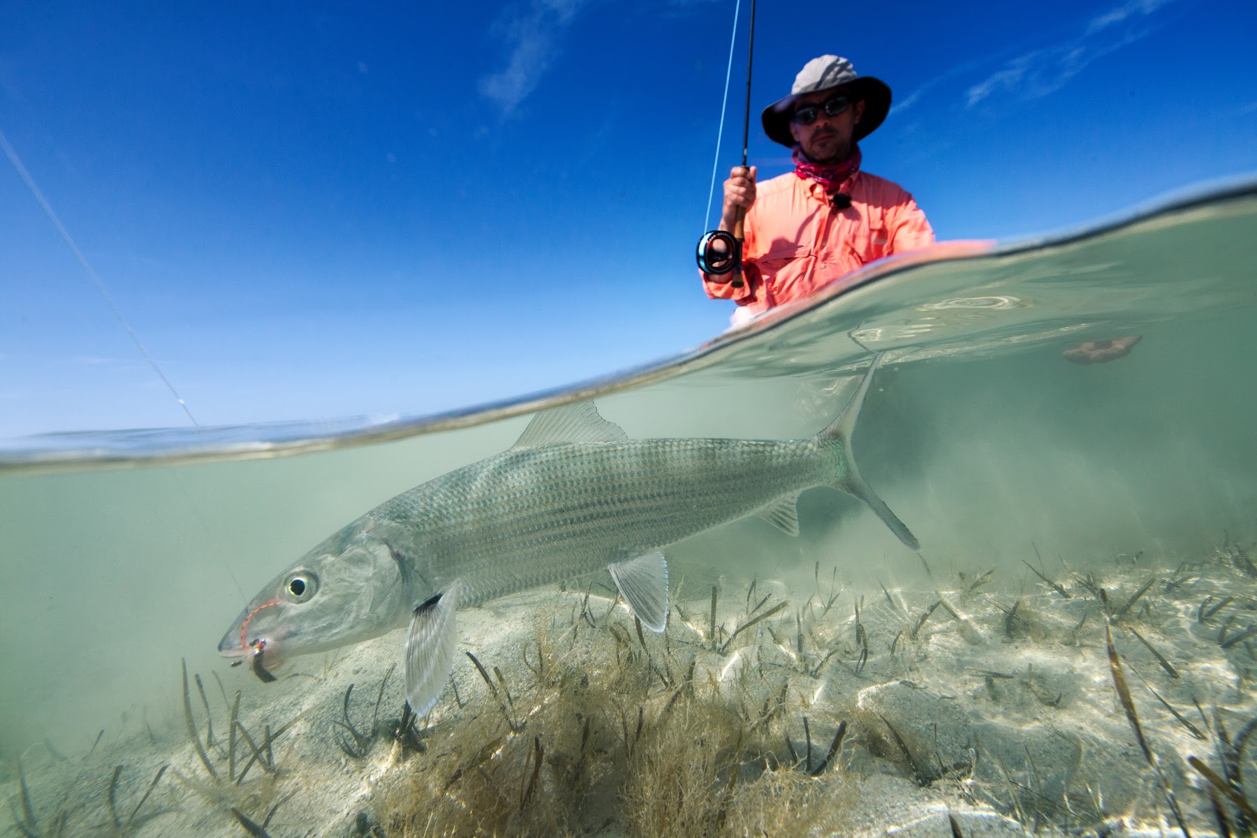 3 Tips for Making Your First Shot - Tail Fly Fishing Magazine
