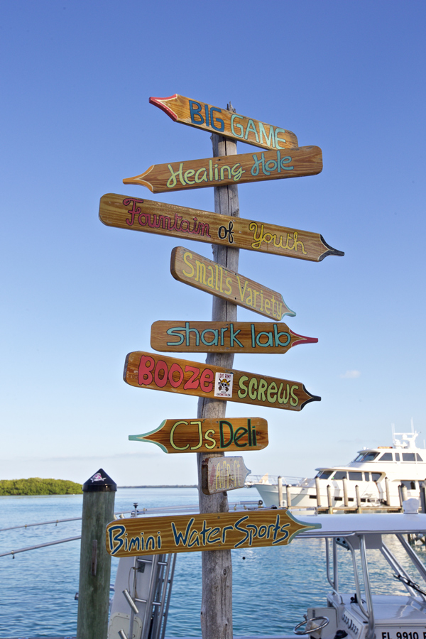 The Best of Bimini - Tail Fly Fishing Magazine