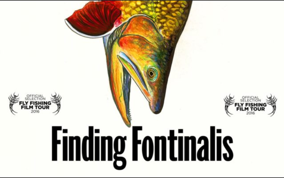 The Return of F3T - Tail Fly Fishing Magazine