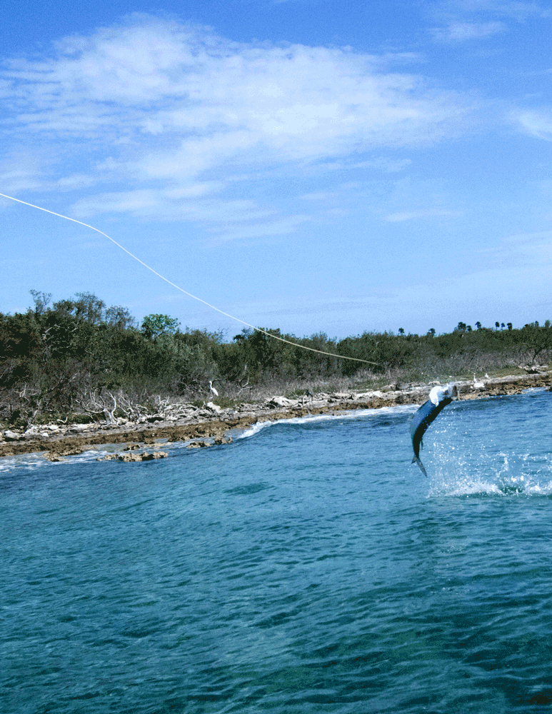 5 Things To Consider For Your First Tarpon Trip - Tail Fly Fishing Magazine