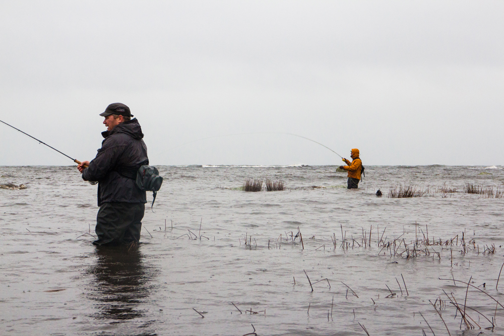 Beached: Fly Fishing Without a Boat - Tail Fly Fishing Magazine
