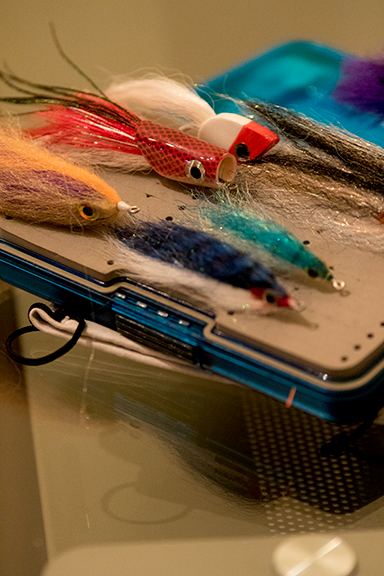 Species spotlight: Roosterfish - Tail Fly Fishing Magazine