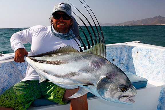 Species spotlight: Roosterfish - Tail Fly Fishing Magazine