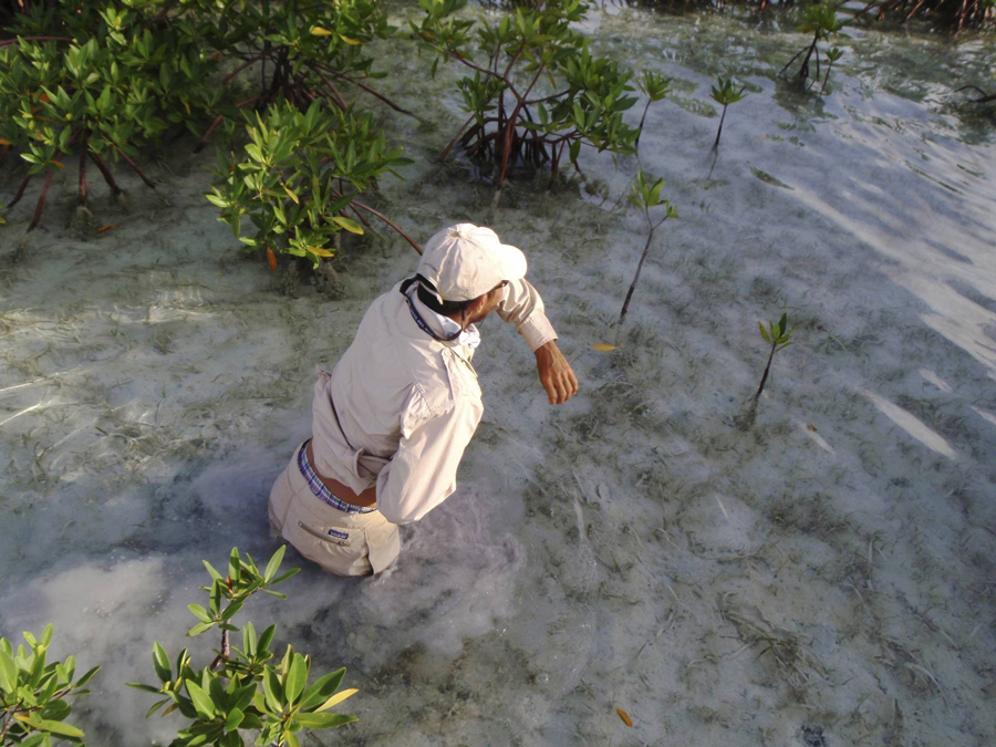 Wading The Flats for Permit - Tail Fly Fishing Magazine