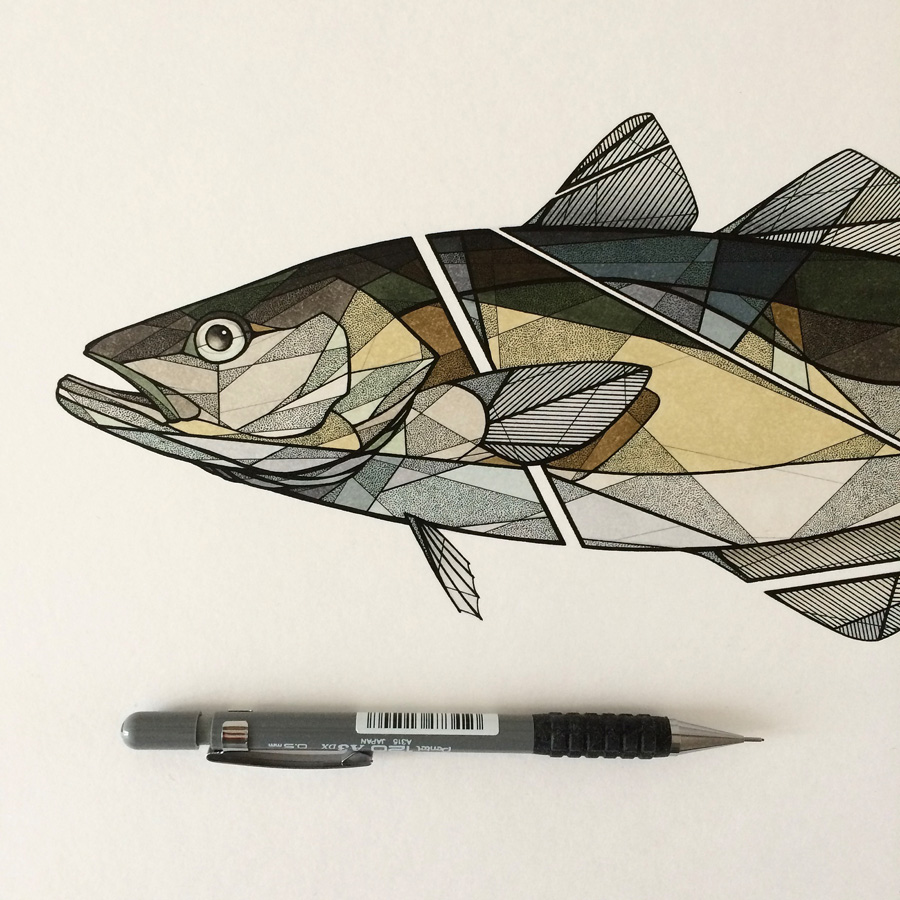 Teuthis – Fish Art - Tail Fly Fishing Magazine