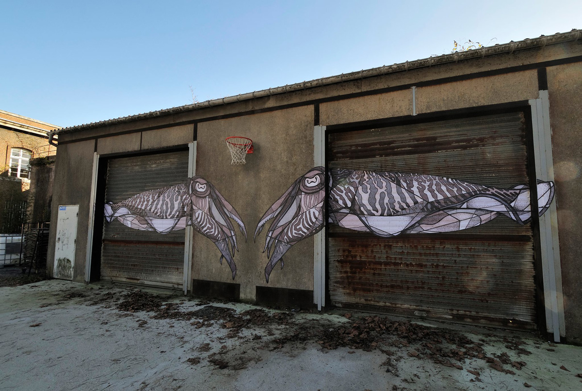 Teuthis – Fish Art - Tail Fly Fishing Magazine