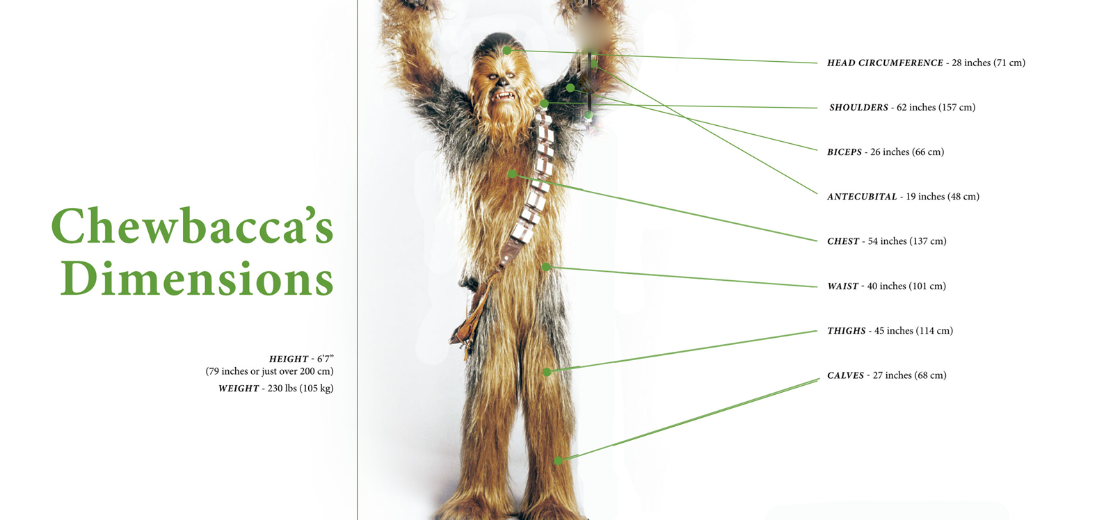 bonefish sliders from a wookie? - Tail Fly Fishing Magazine