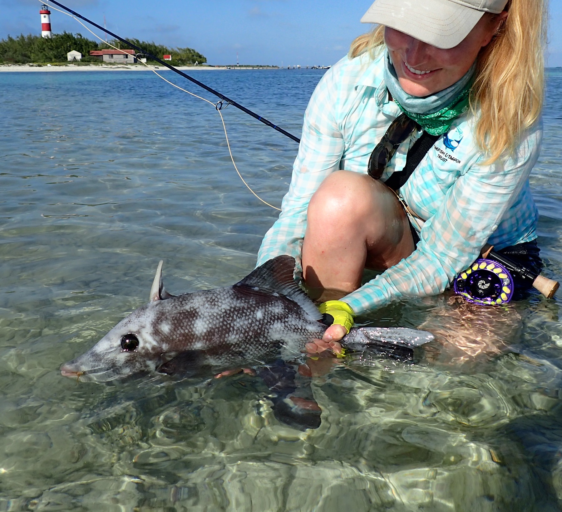 triggerfish | Tail Fly Fishing Magazine