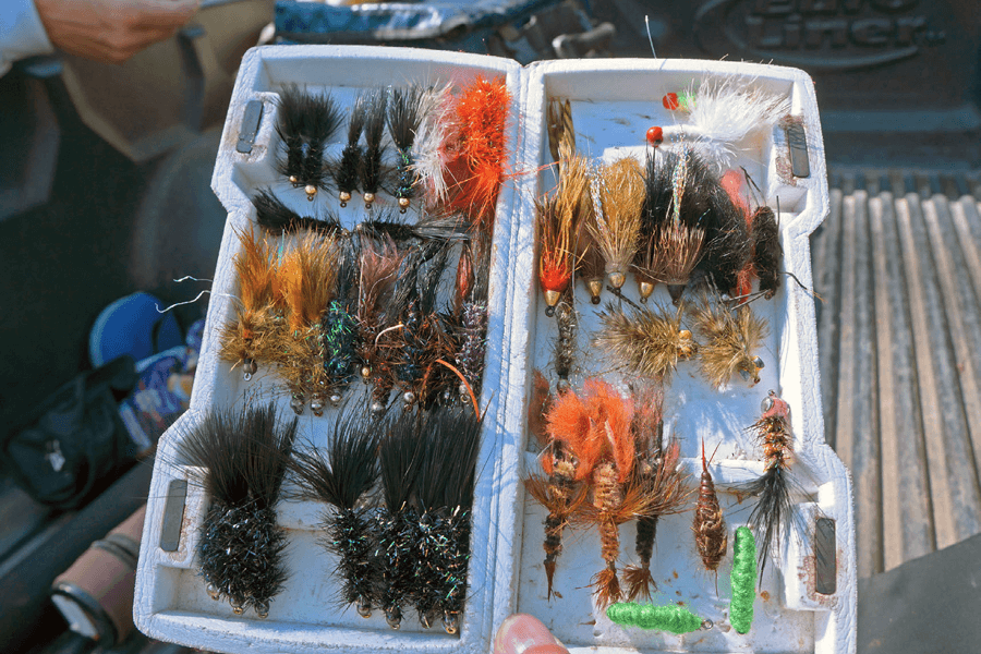 Costa Rica on the fly – From Marlin to Machaca - Tail Fly Fishing Magazine