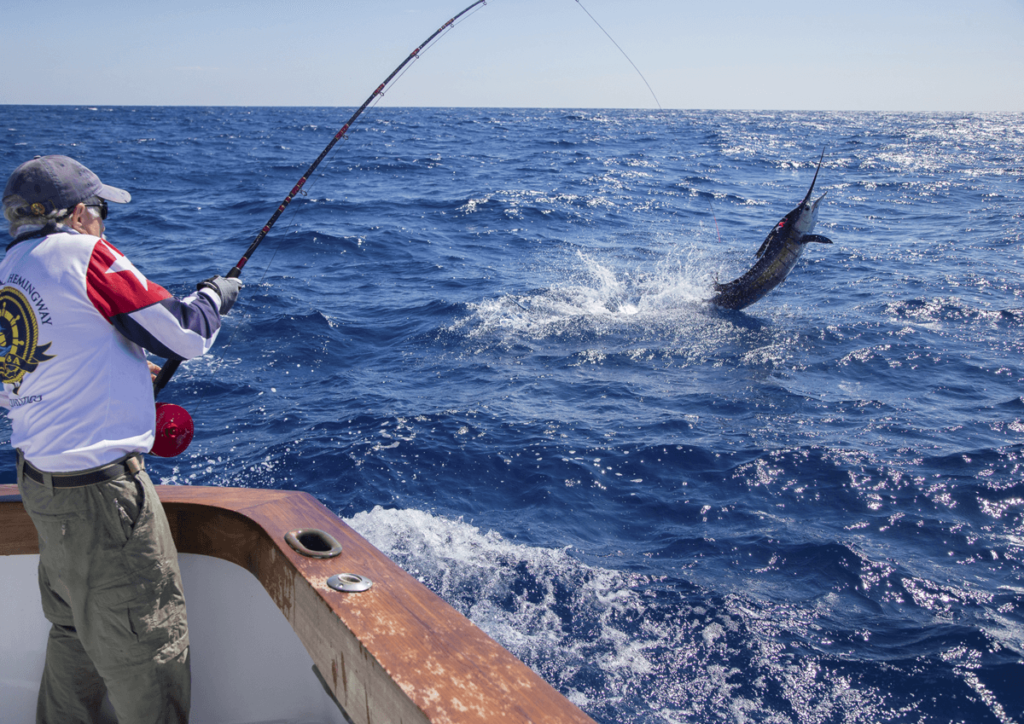 Five Tips for Marlin on the Fly - Tail Fly Fishing Magazine