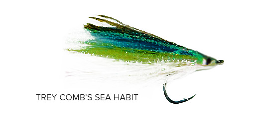 Who Doesn’t love Roosters? - Tail Fly Fishing Magazine