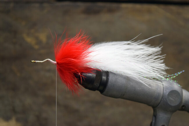 Saltwater Popper - Tail Fly Fishing Magazine