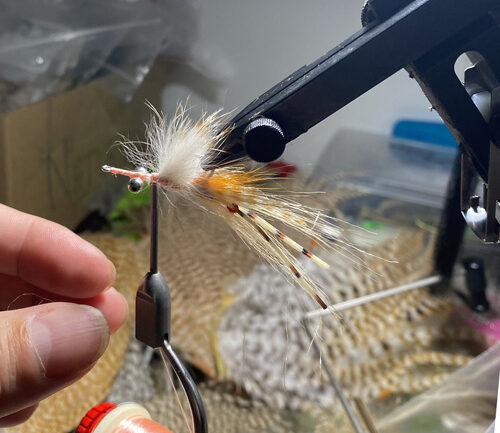 The Evolution Shrimp Fly - Tail Fly Fishing Magazine