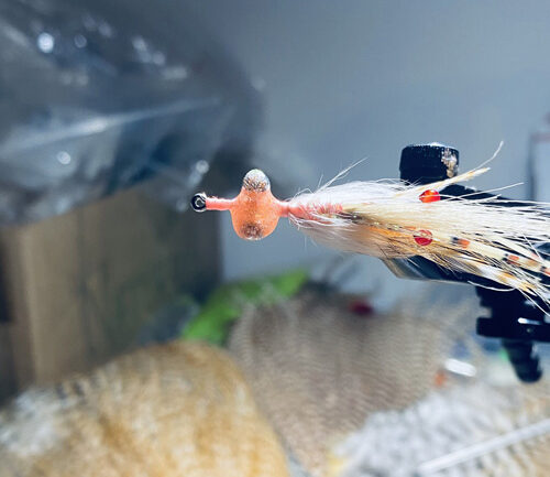 The Evolution Shrimp Fly - Tail Fly Fishing Magazine
