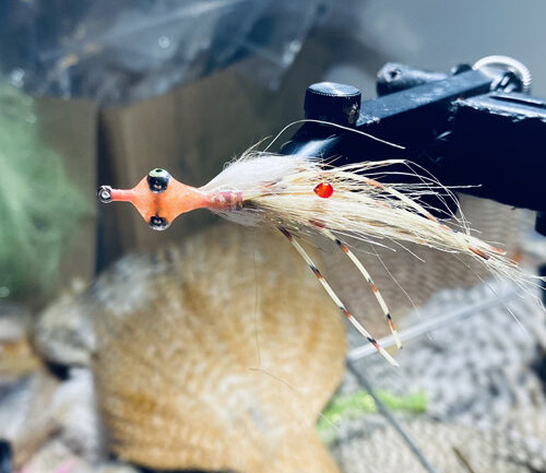 The Evolution Shrimp Fly - Tail Fly Fishing Magazine