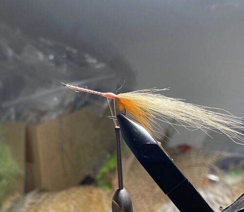 The Evolution Shrimp Fly - Tail Fly Fishing Magazine