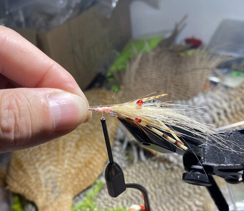 The Evolution Shrimp Fly - Tail Fly Fishing Magazine