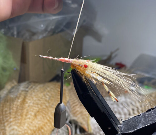 The Evolution Shrimp Fly - Tail Fly Fishing Magazine