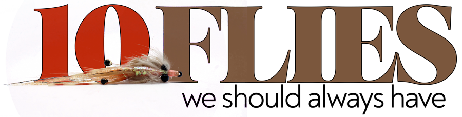 10 must have flies for saltwater fly fishing - Tail Fly Fishing Magazine