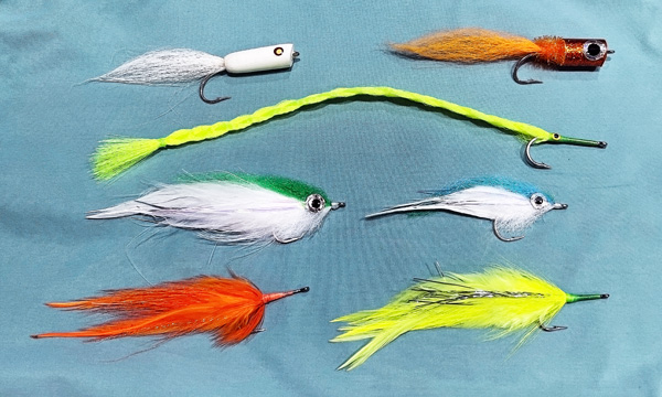 Barracuda Breakdown by Chico Fernandez - Tail Fly Fishing Magazine