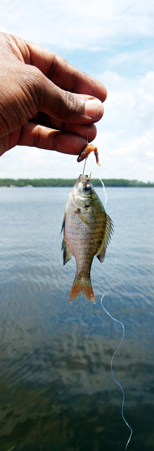 A Guide’s Life by Captain Scott Hamilton - Tail Fly Fishing Magazine