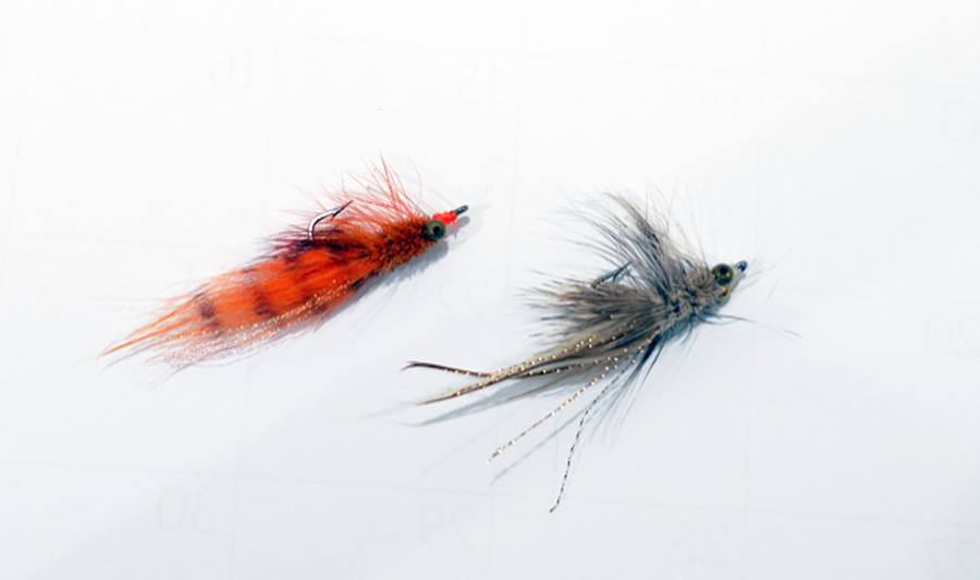 Florida Redfish Fly Patterns