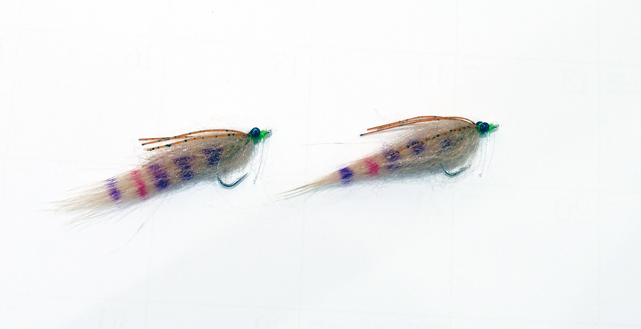 Go-to Flies for the Everglades by Chico Fernandez - Tail Fly Fishing ...