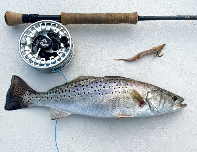 You Can Trout-Set a Trout! Keys to Success for Big Winter Specks on Fly ...